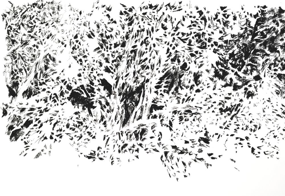 Absurd Paintings - Product